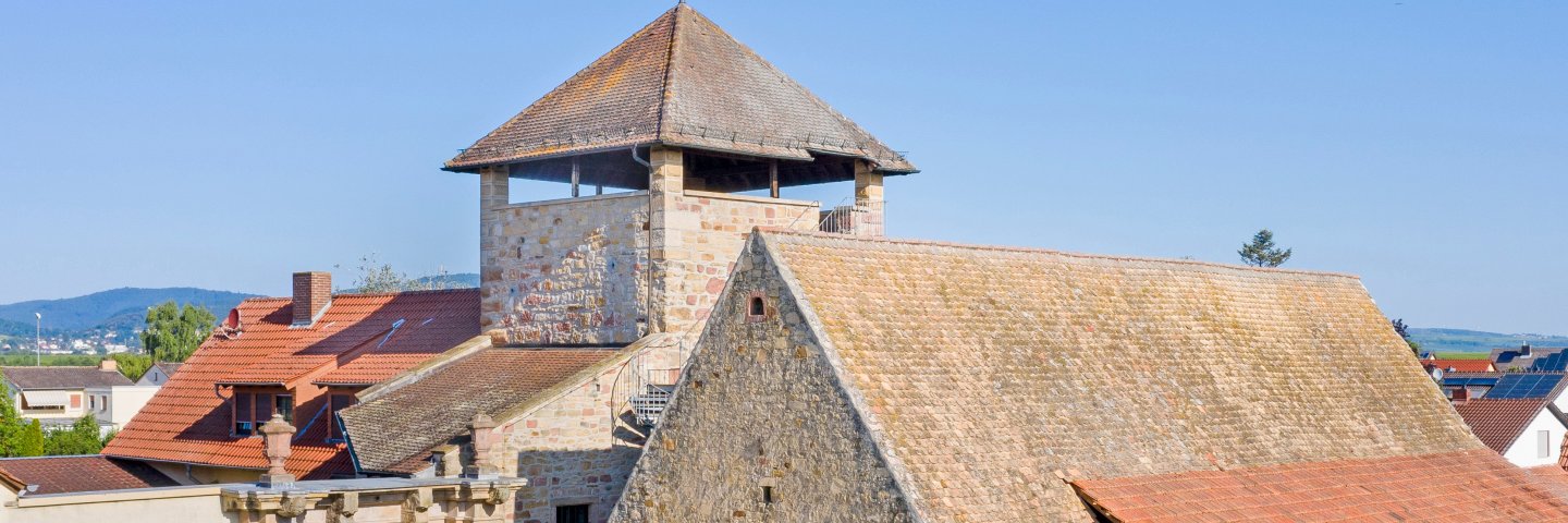 Friedelsheim | Verbandsgemeinde Wachenheim